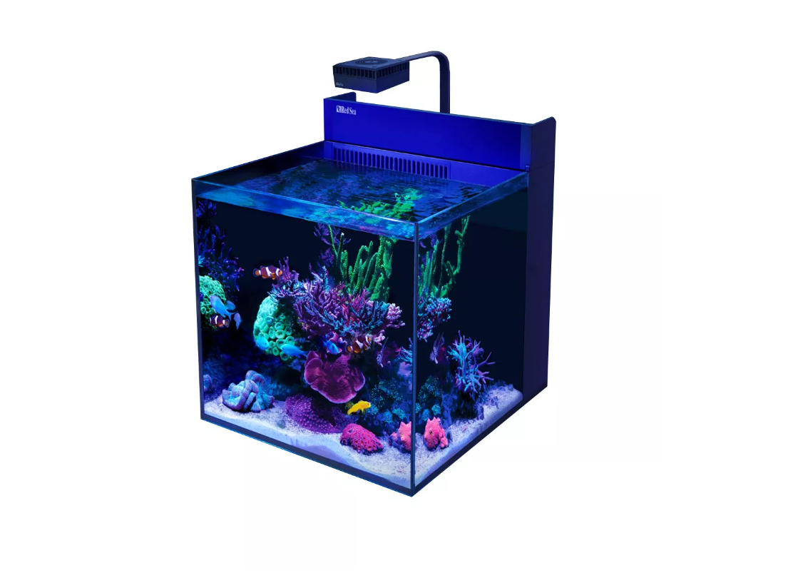 MAX NANO G2 XL Aquarium (33 Gal) | Love the Reef